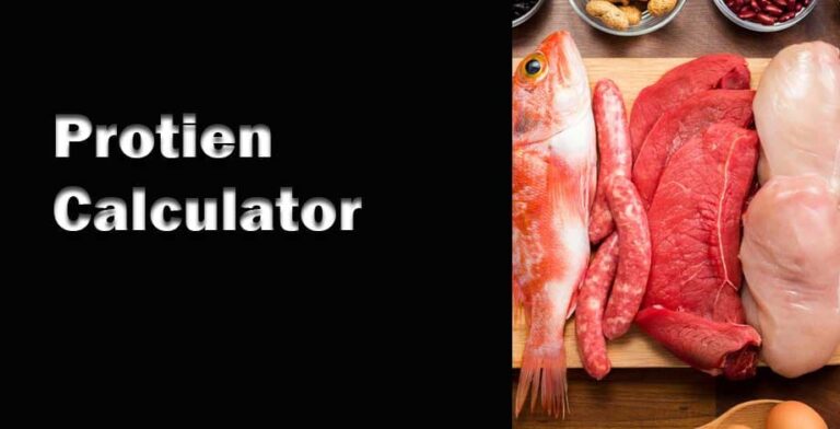 Protein Calculator - Secrets of Bodybuilding
